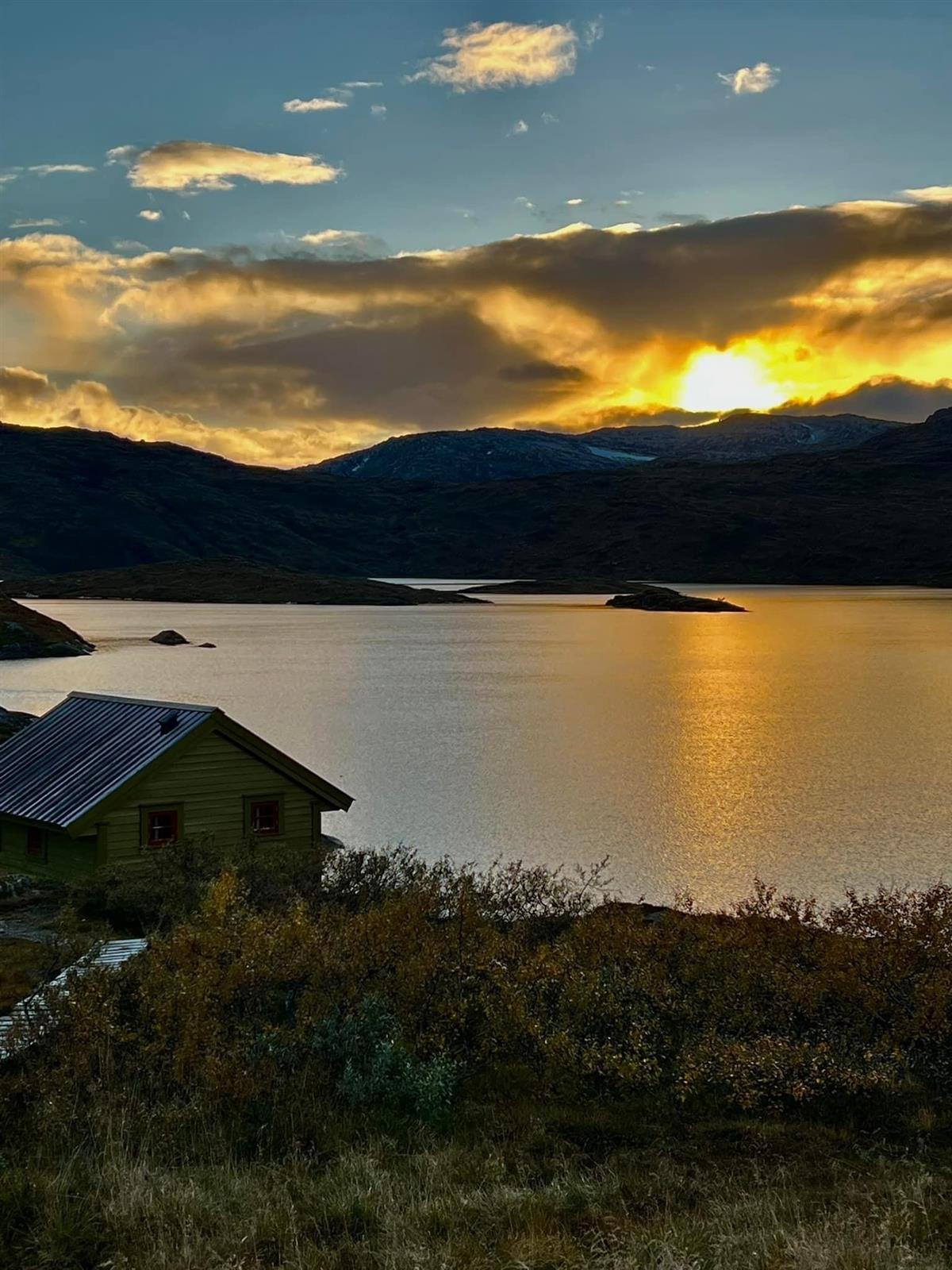 Årets Vikje 2022 - Vik kommune