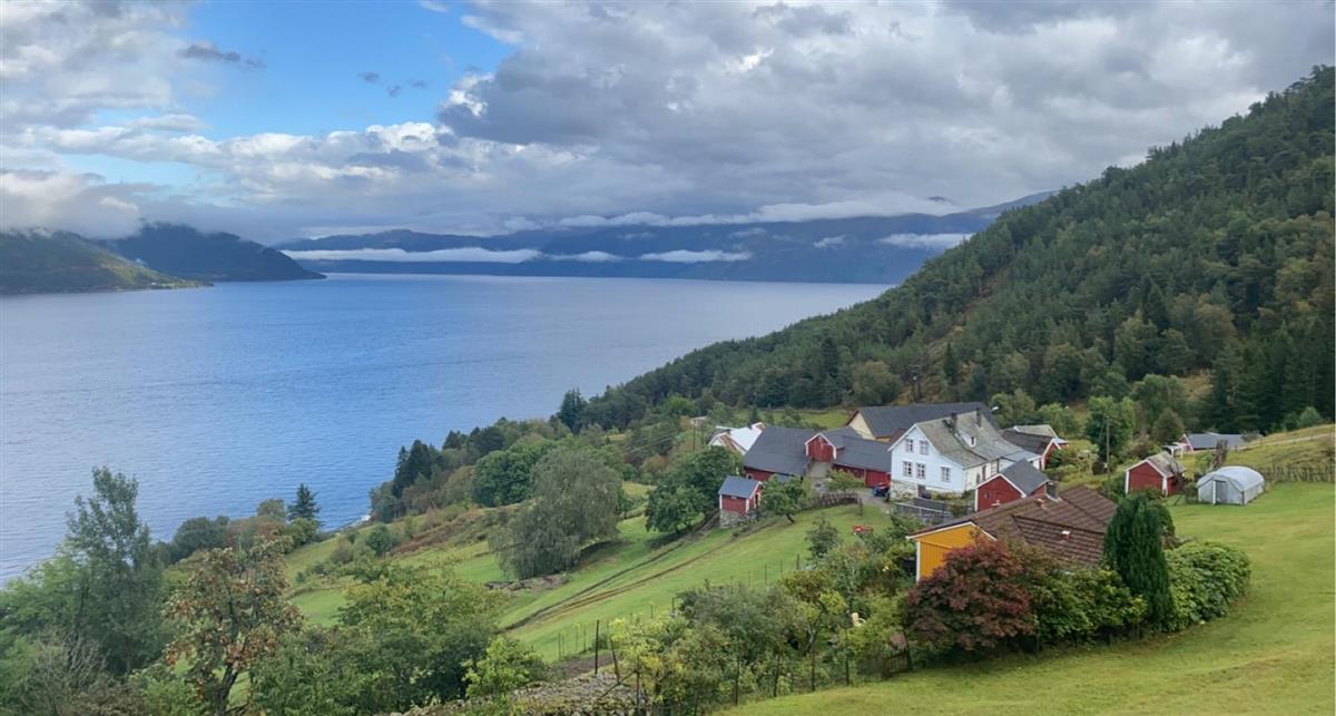 Søknad om regionalt miljøtilskot (RMP) 2022 - Vik kommune