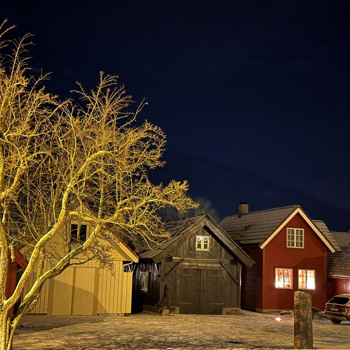 Kreftkoordinator - Vik kommune